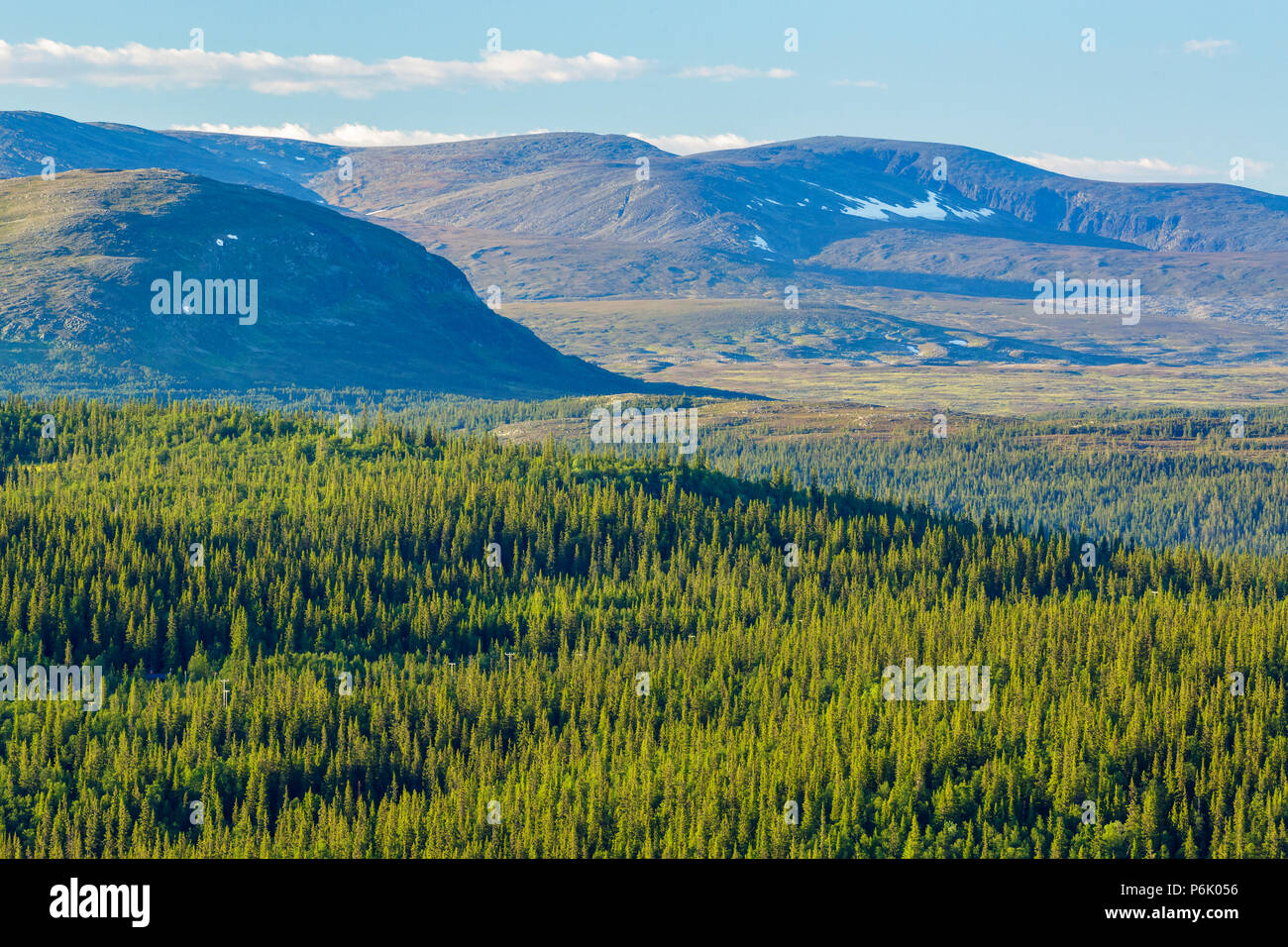 Woodland landscape view with mountains in the north Stock Photo - Alamy