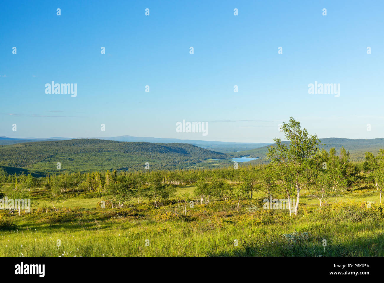 Aerial landscape view in a nordic woodland Stock Photo - Alamy