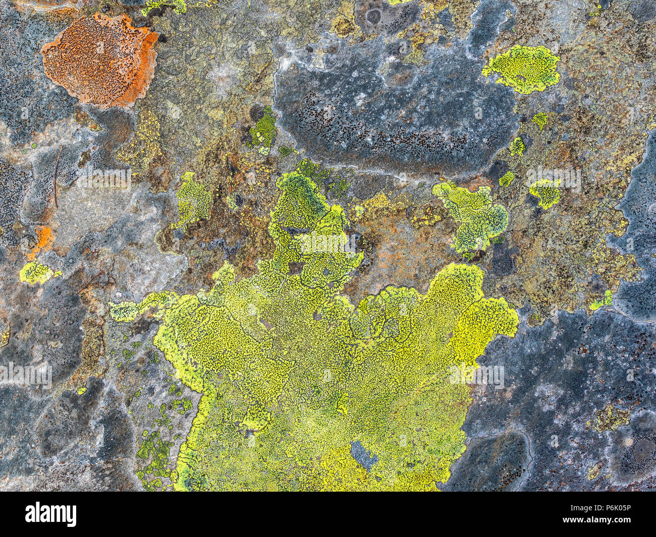 Lichen grows on rocks hi-res stock photography and images - Alamy