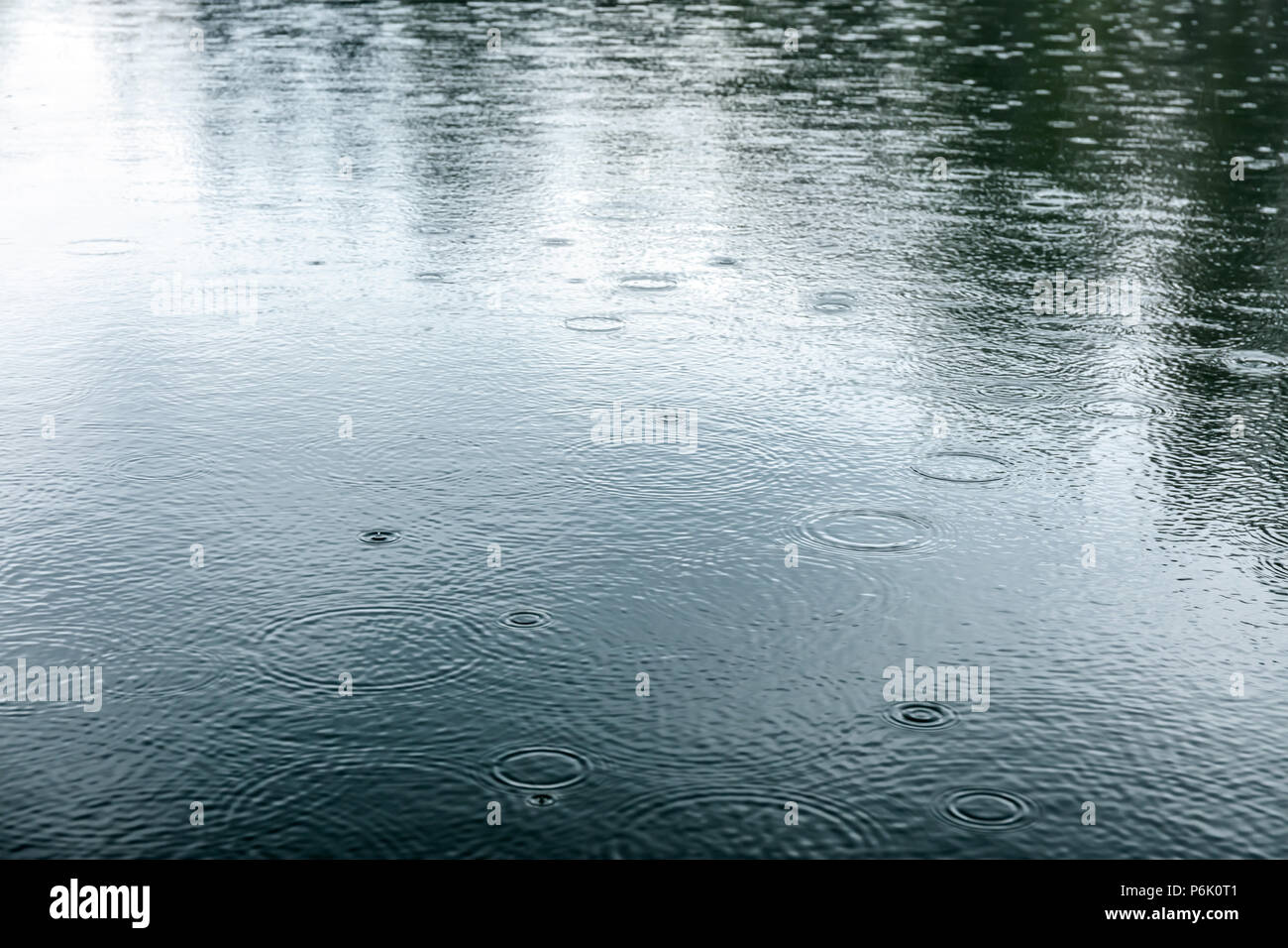 rain drops rippling on lake surface with surrounding trees reflections ...