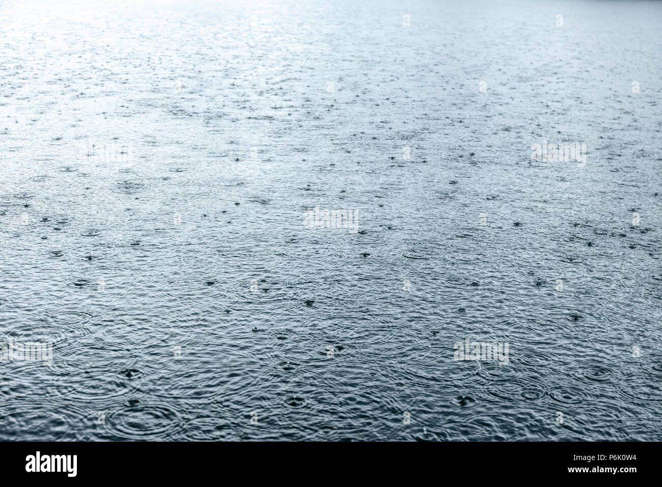 raindrops on water pond with trees reflection. nature during nasty ...