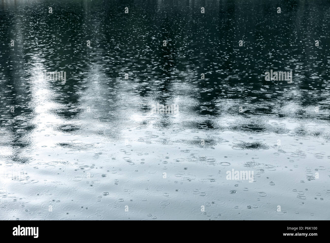 trees reflections in water. raindrops rippling on lake surface during ...