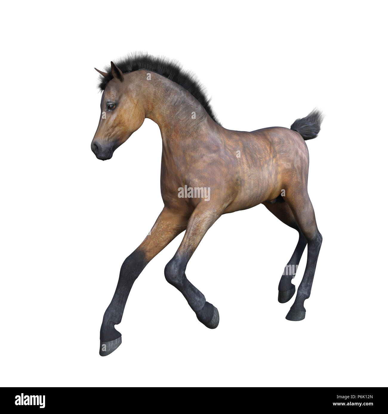 Brown horse cute foal Cut Out Stock Images & Pictures - Alamy