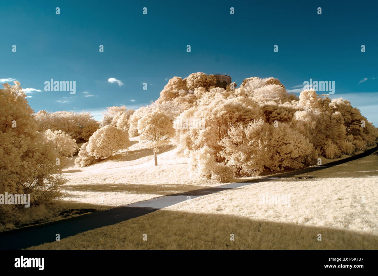 Infrared image of a park landscape in false colors Stock Photo - Alamy