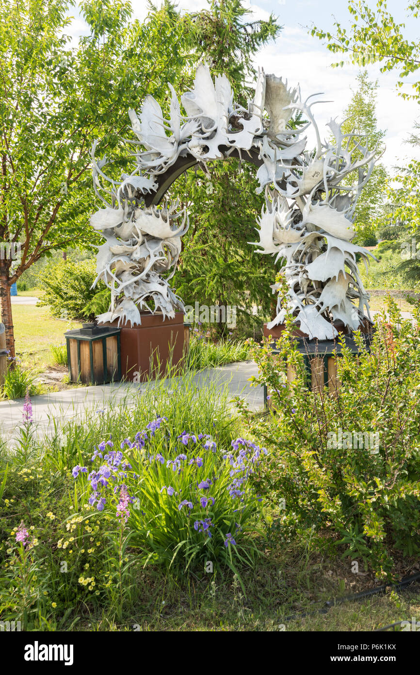 Moose antlers arch hi-res stock photography and images - Alamy