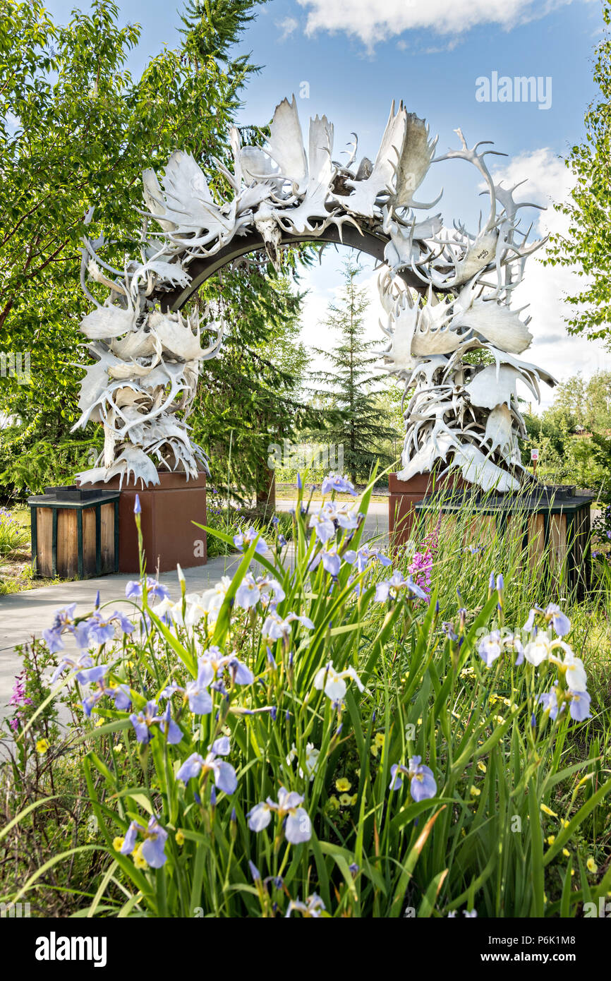 Moose antlers arch hi-res stock photography and images - Alamy