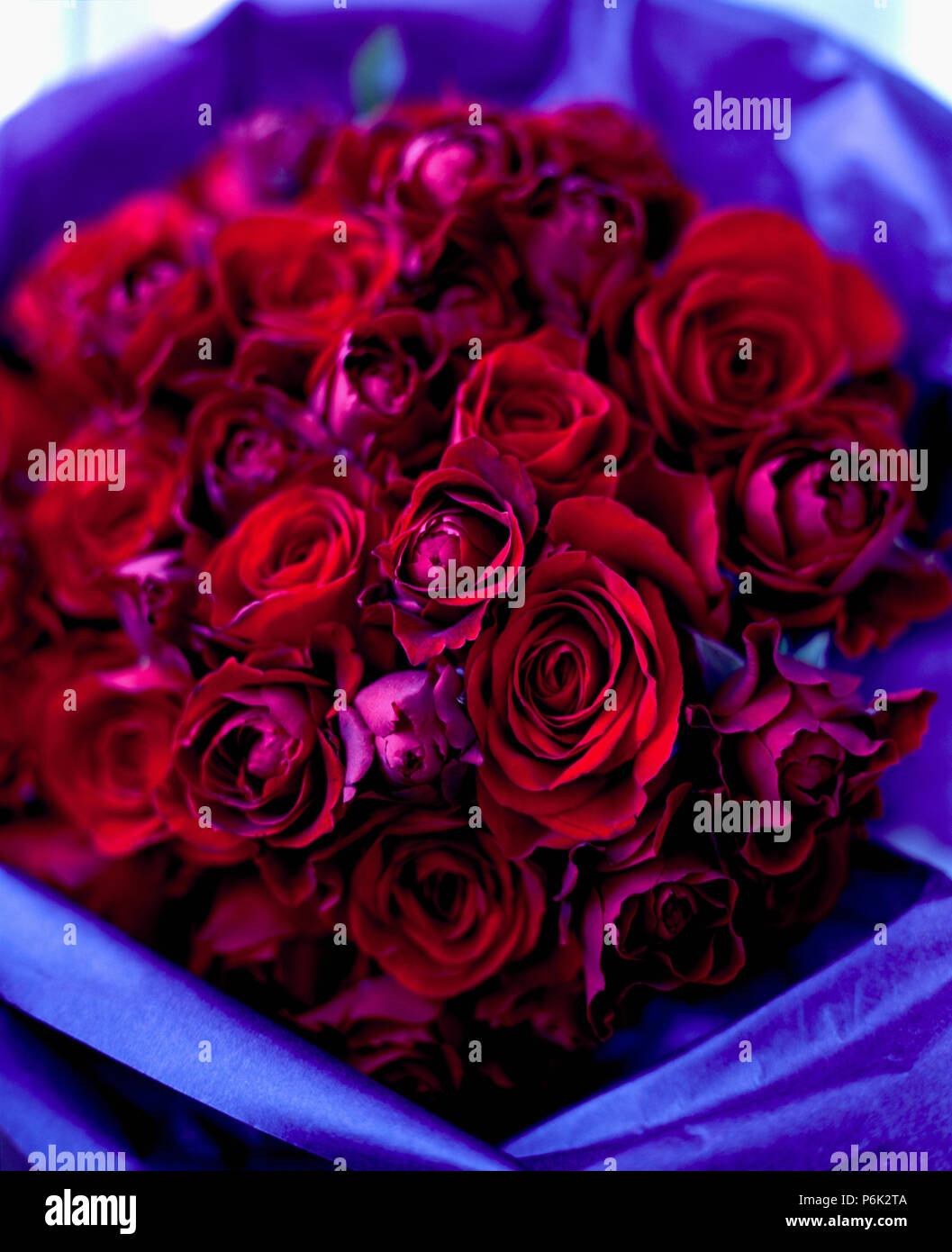 Blue tissue paper hi-res stock photography and images - Alamy