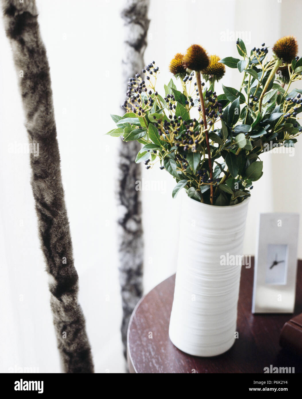 Still-Life of green foliage in white cylindrical vase Stock Photo - Alamy