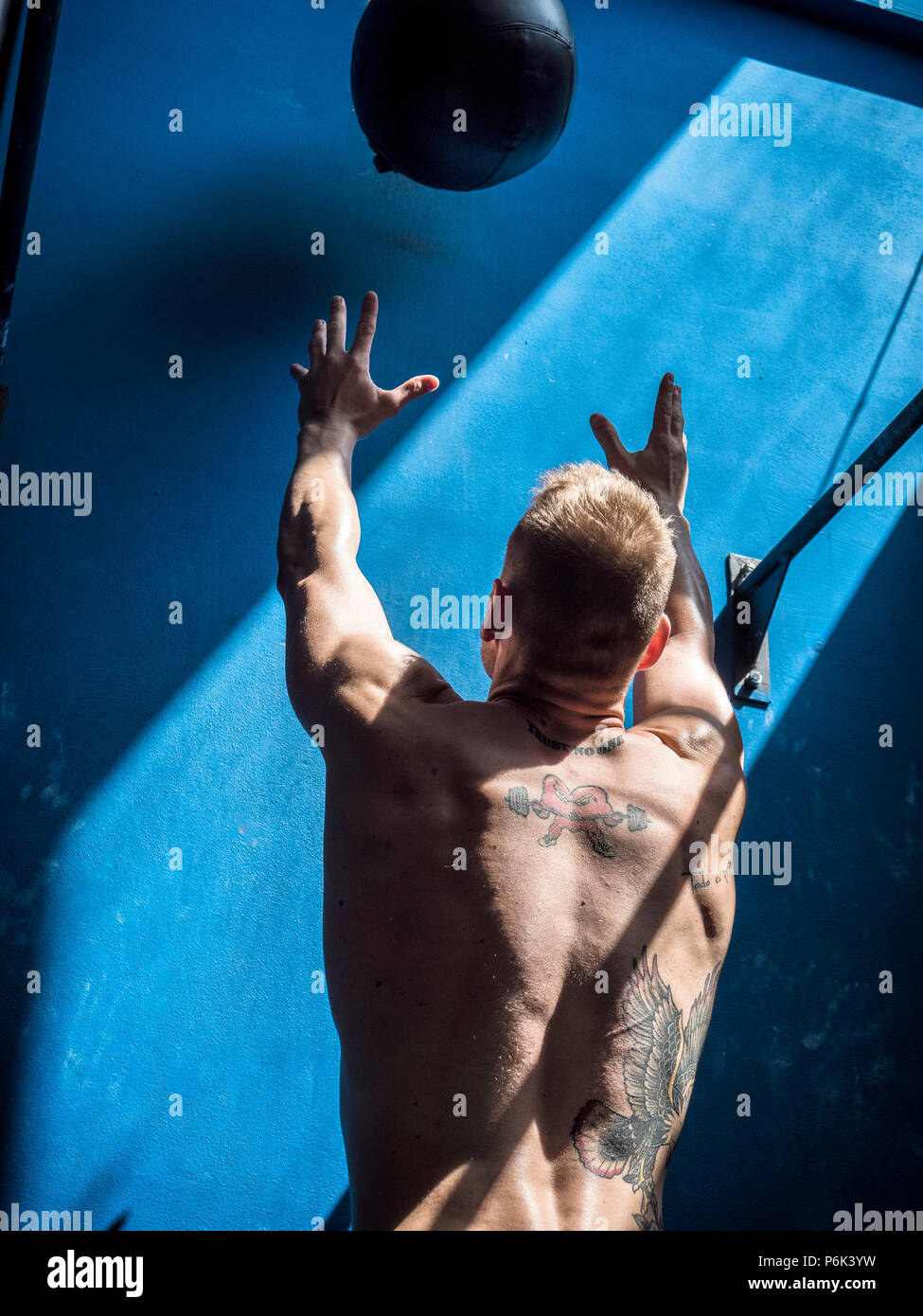 Male athlete throwing fit ball on wall in a gym, seen from the back ...