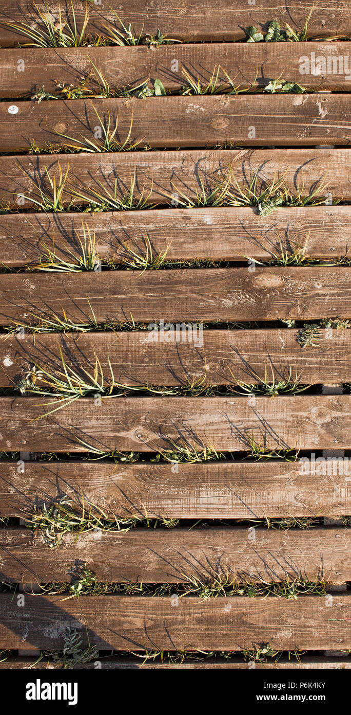 Wooden bridge on the green grass. Low bridges - a path among the grass ...