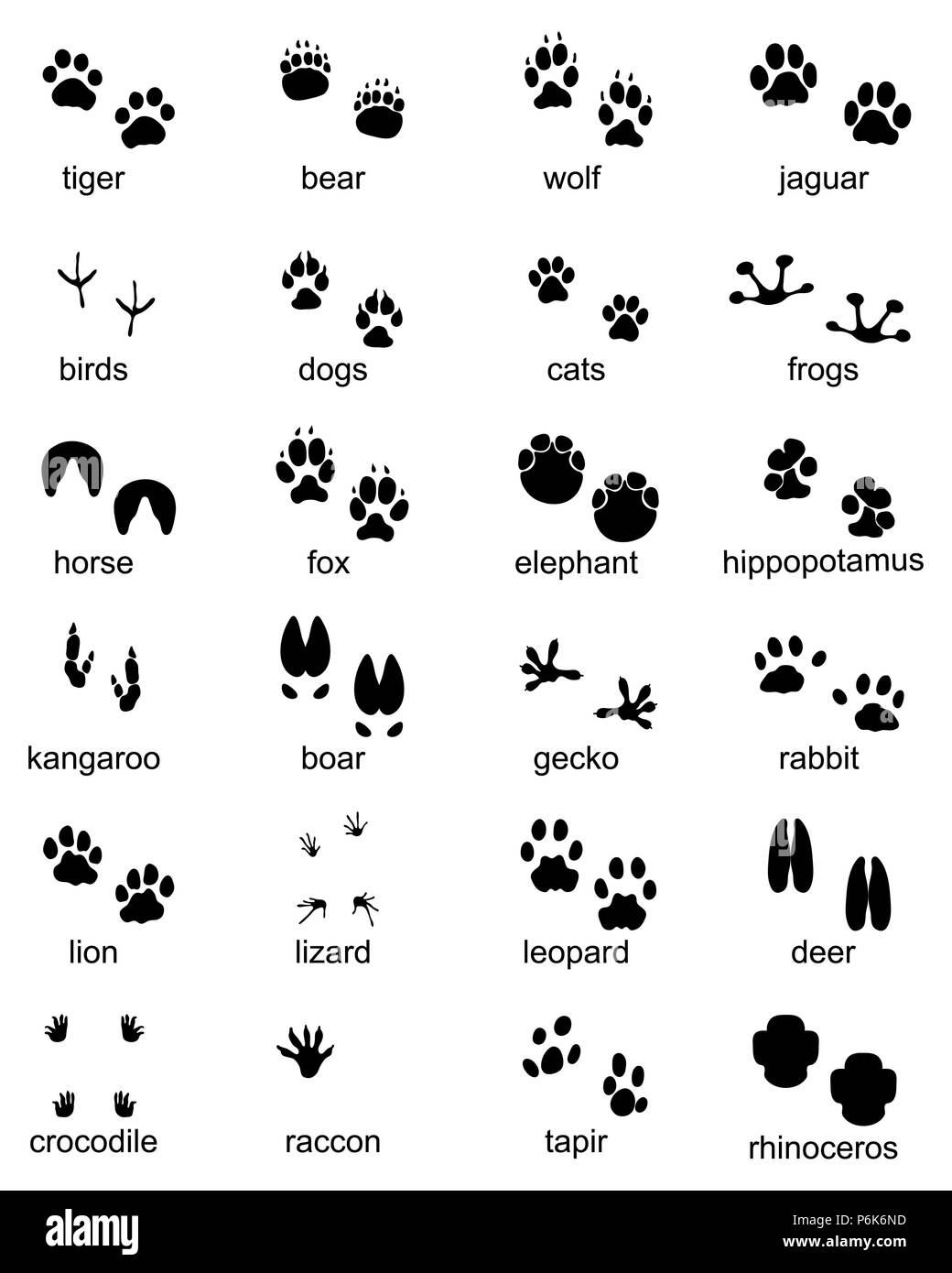 Boar Footprint High Resolution Stock Photography and Images - Alamy