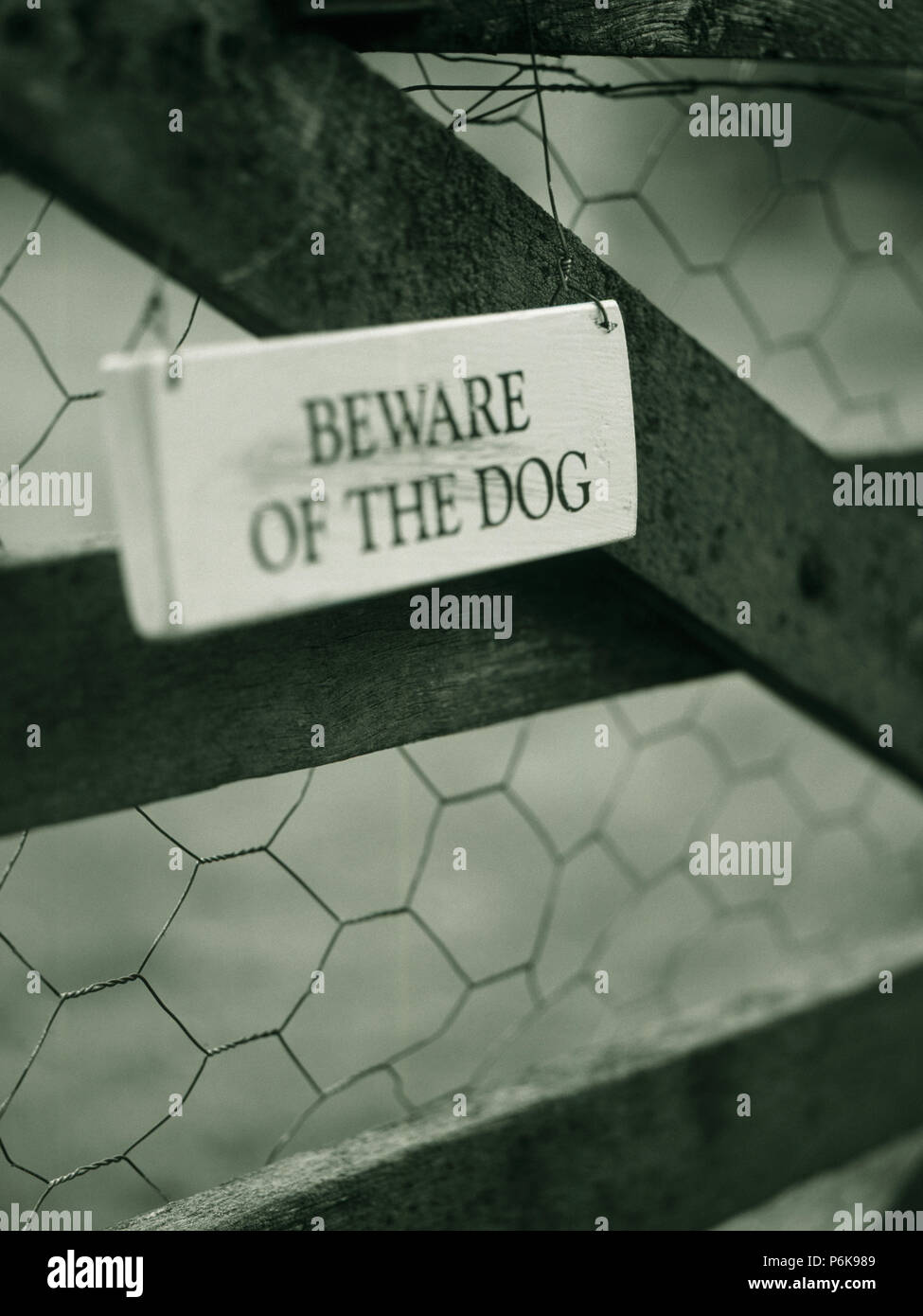 Close-up of Beware of the Dog" sign on gate Stock Photo - Alamy