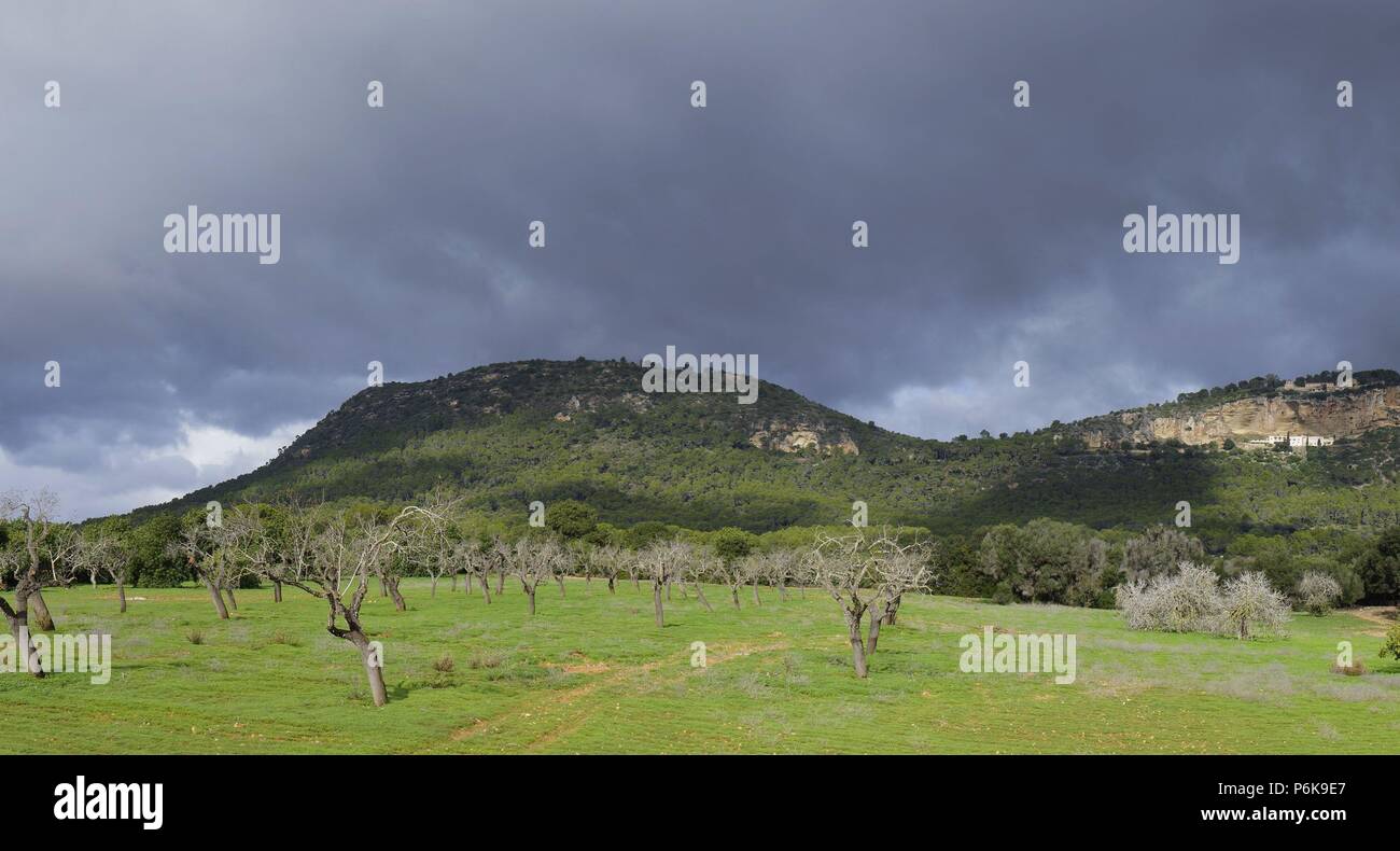 Puig de Son Reus, 542 metros, y Puig de Randa,543 metros, con los tres ...