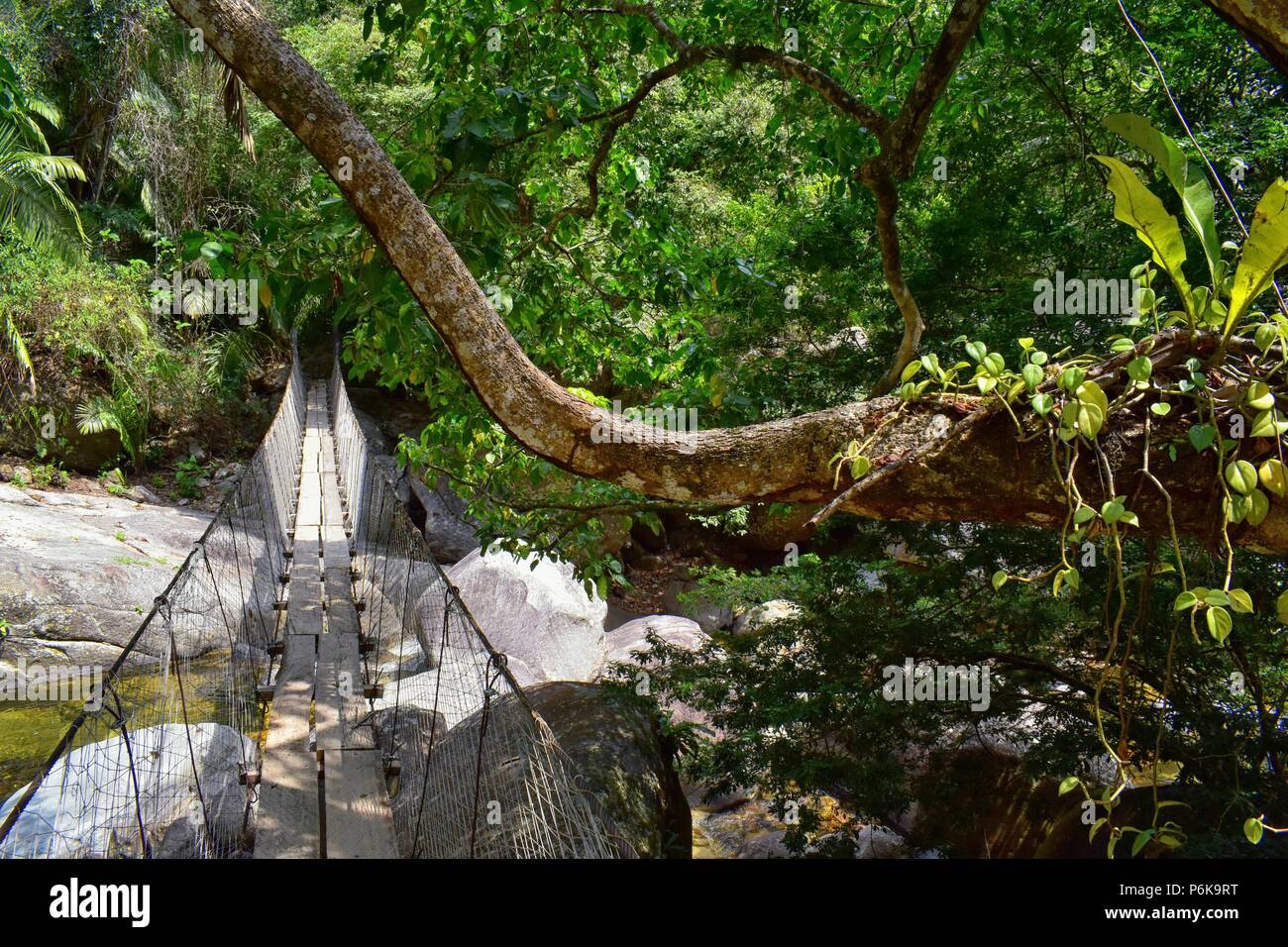 Rope and Wire suspended hanging bridge across a Jungle River in El Eden ...