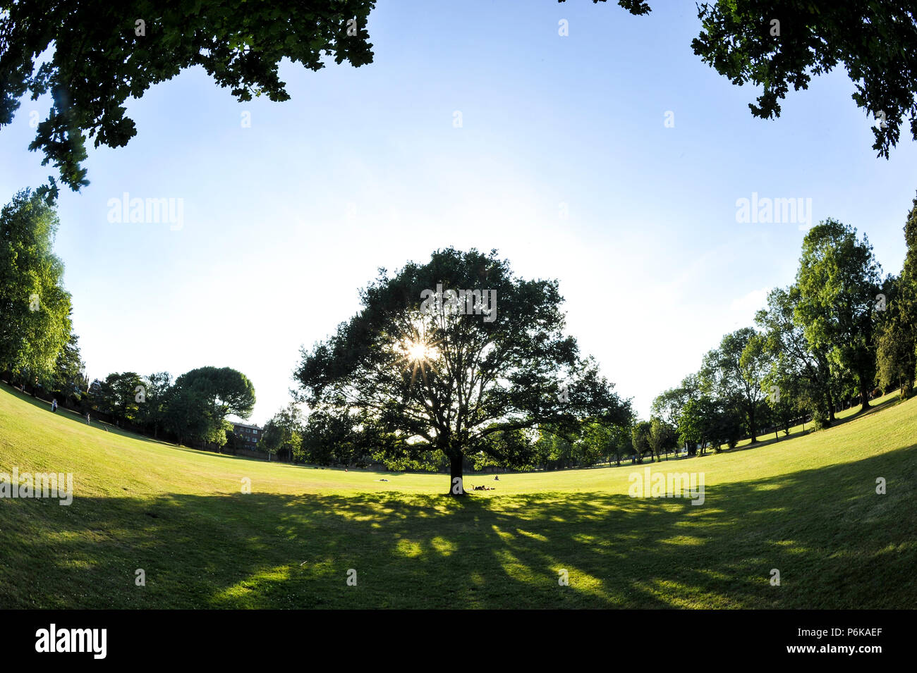 Old oak common london hi-res stock photography and images - Alamy