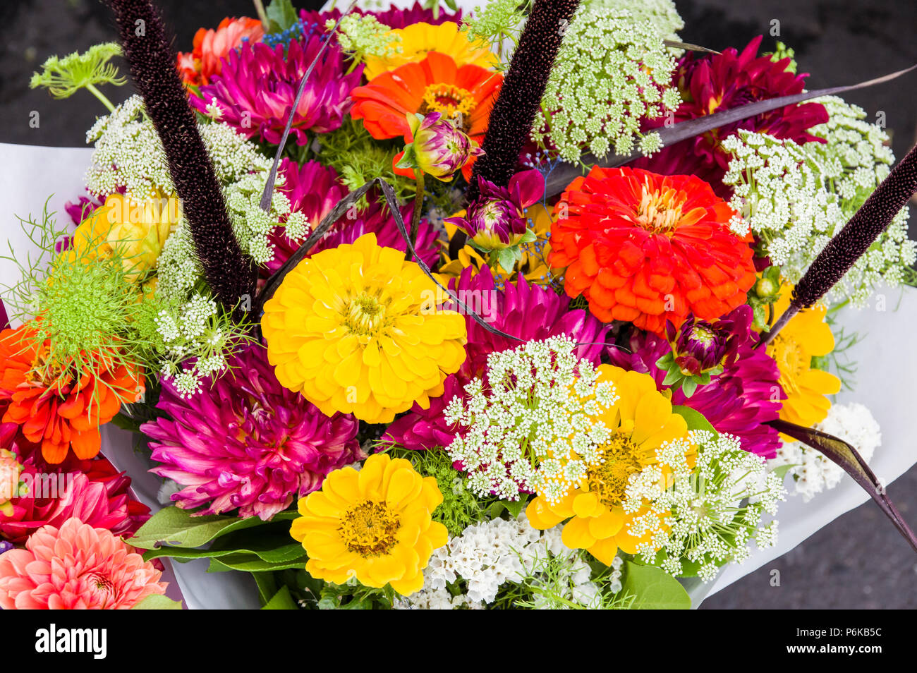 Beautiful cut flowers hi-res stock photography and images - Alamy