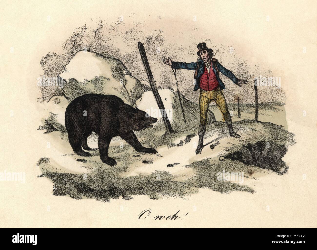 Un oso pardo hi-res stock photography and images - Alamy