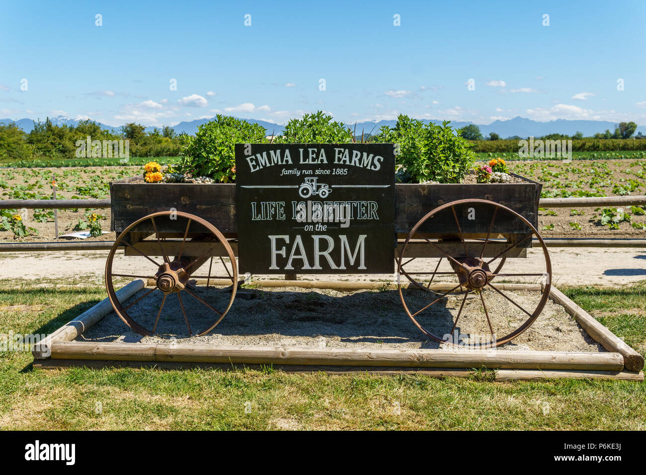 Lea Barn Vineyards