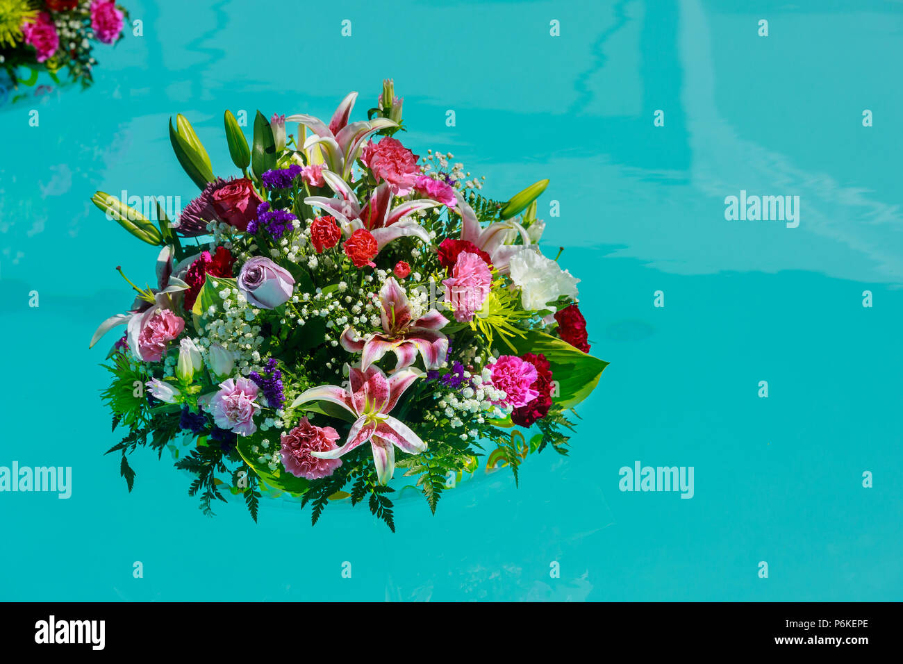 Pink rose garden pool water hi-res stock photography and images - Alamy