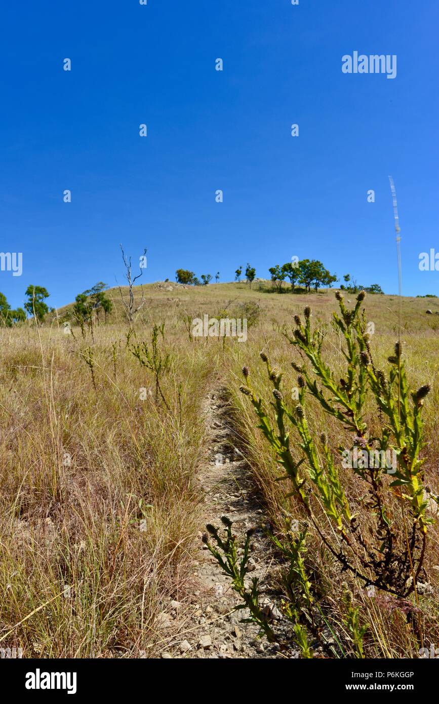 Scenery and tracks as scene from the top of Mt Marlow, Many peaks hike ...