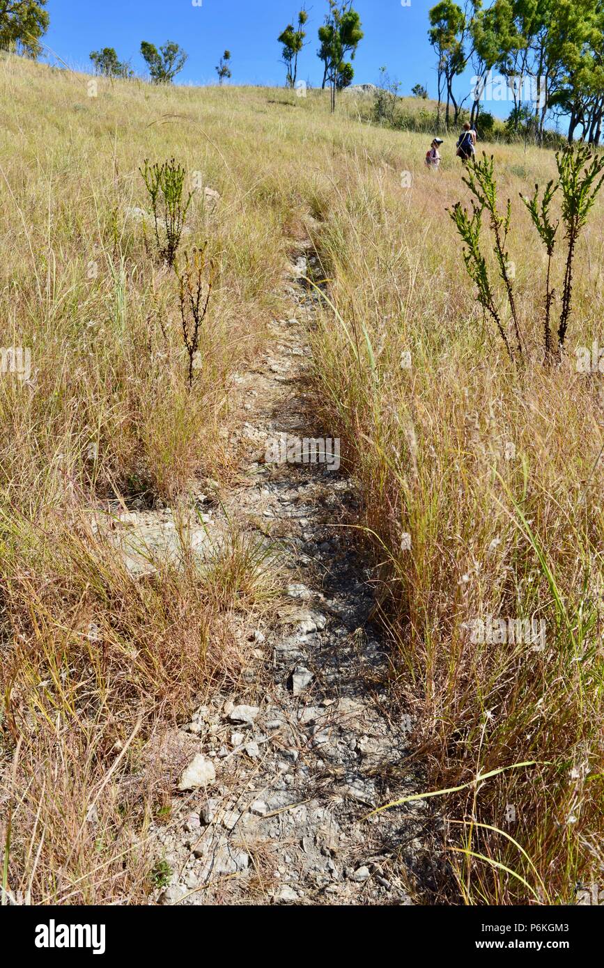 Scenes from the top of mt marlow hi-res stock photography and images ...