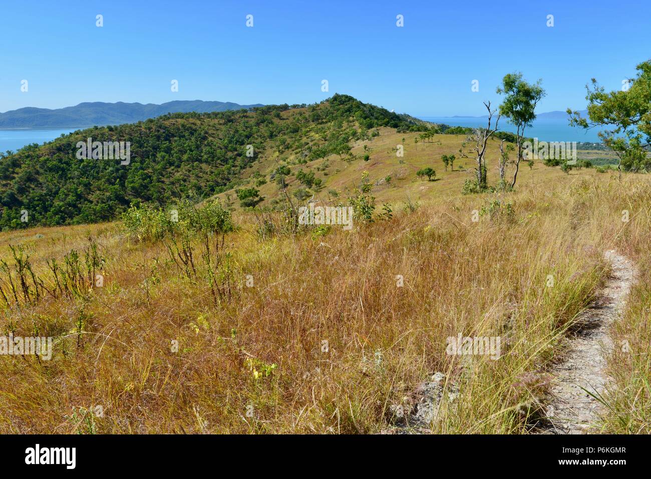 Scenery and tracks as scene from the top of Mt Marlow, Many peaks hike ...