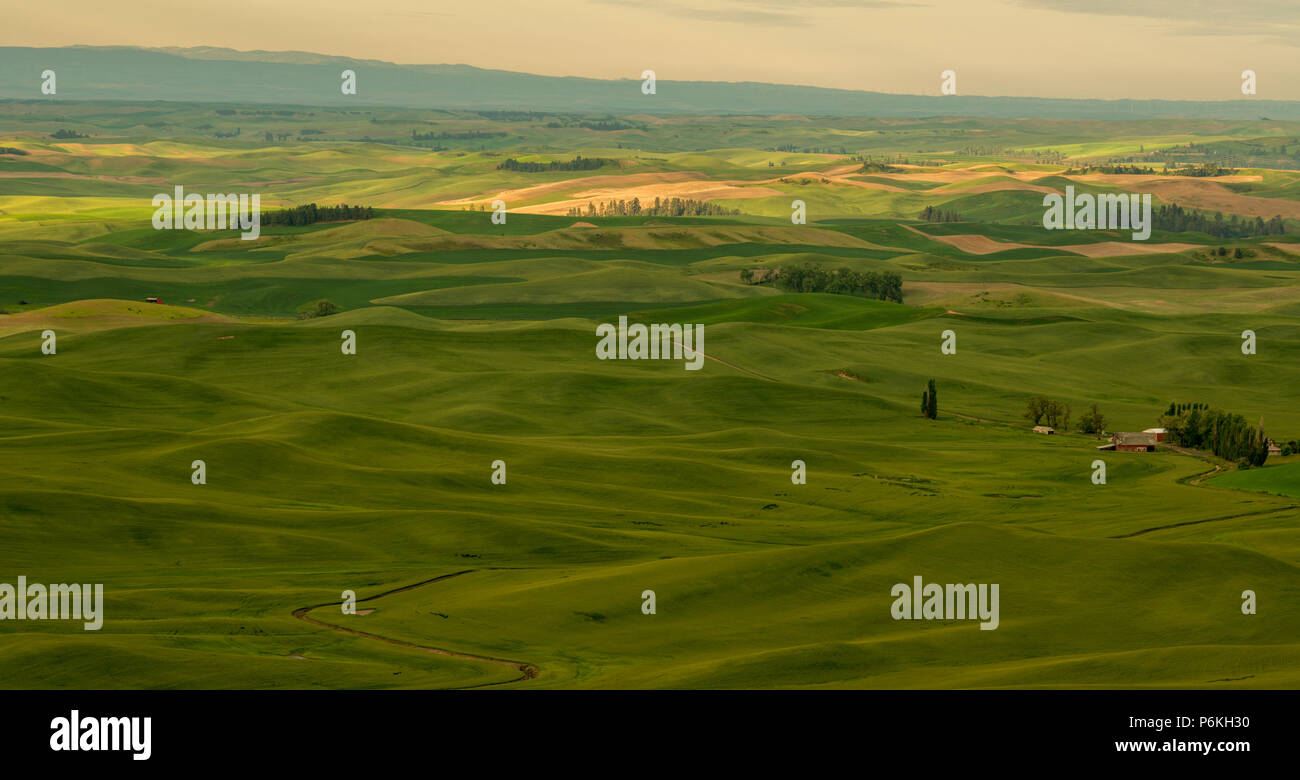 Wide rolling fields hi-res stock photography and images - Alamy