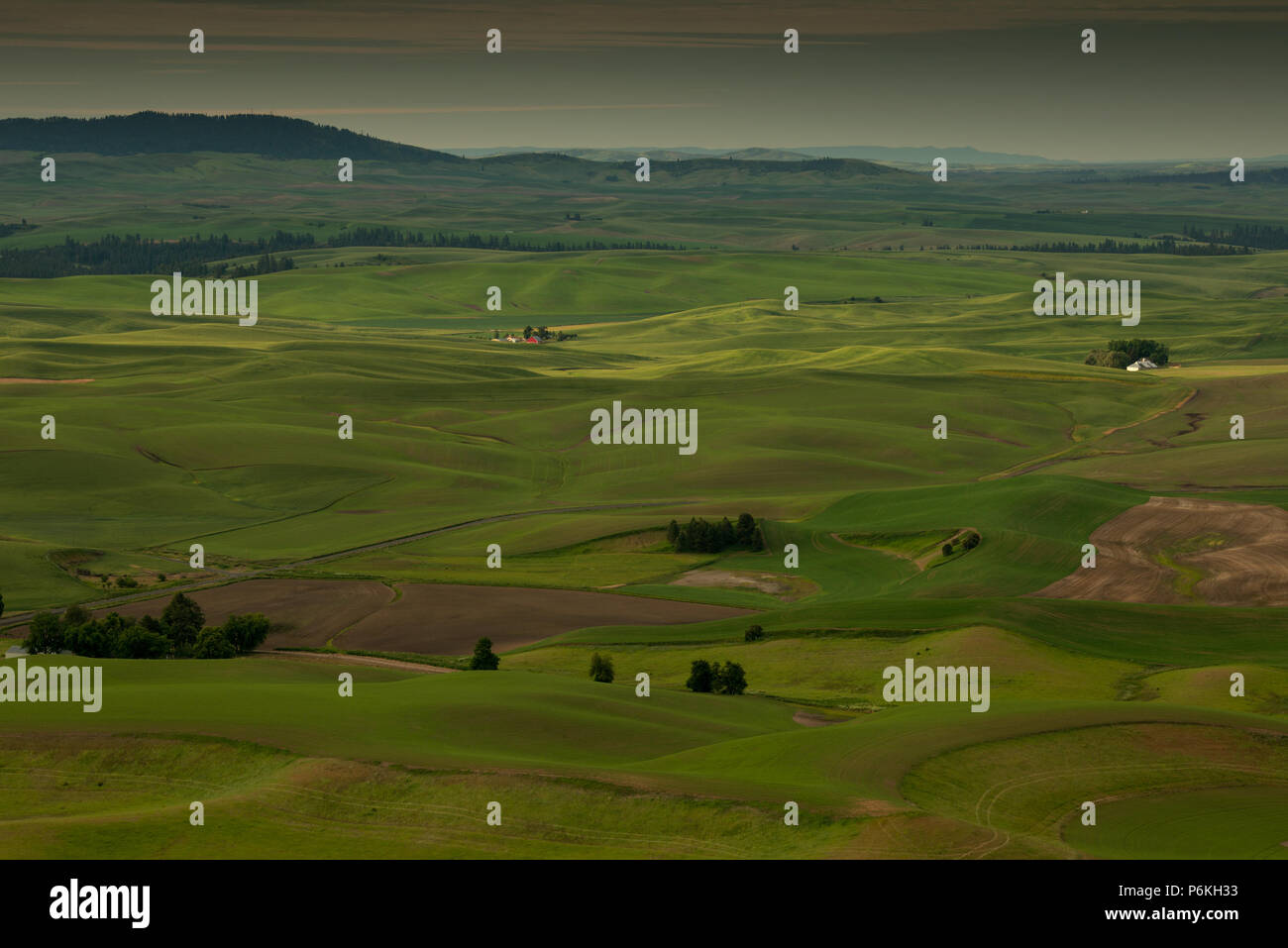 Wide rolling fields hi-res stock photography and images - Alamy
