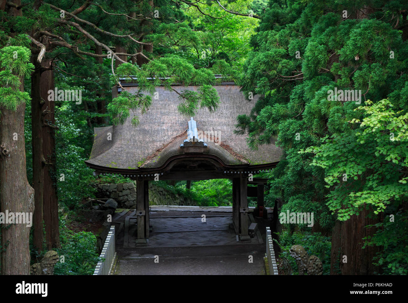 Entrance gate and walkway to Japanese temple surrounded by forest Stock ...