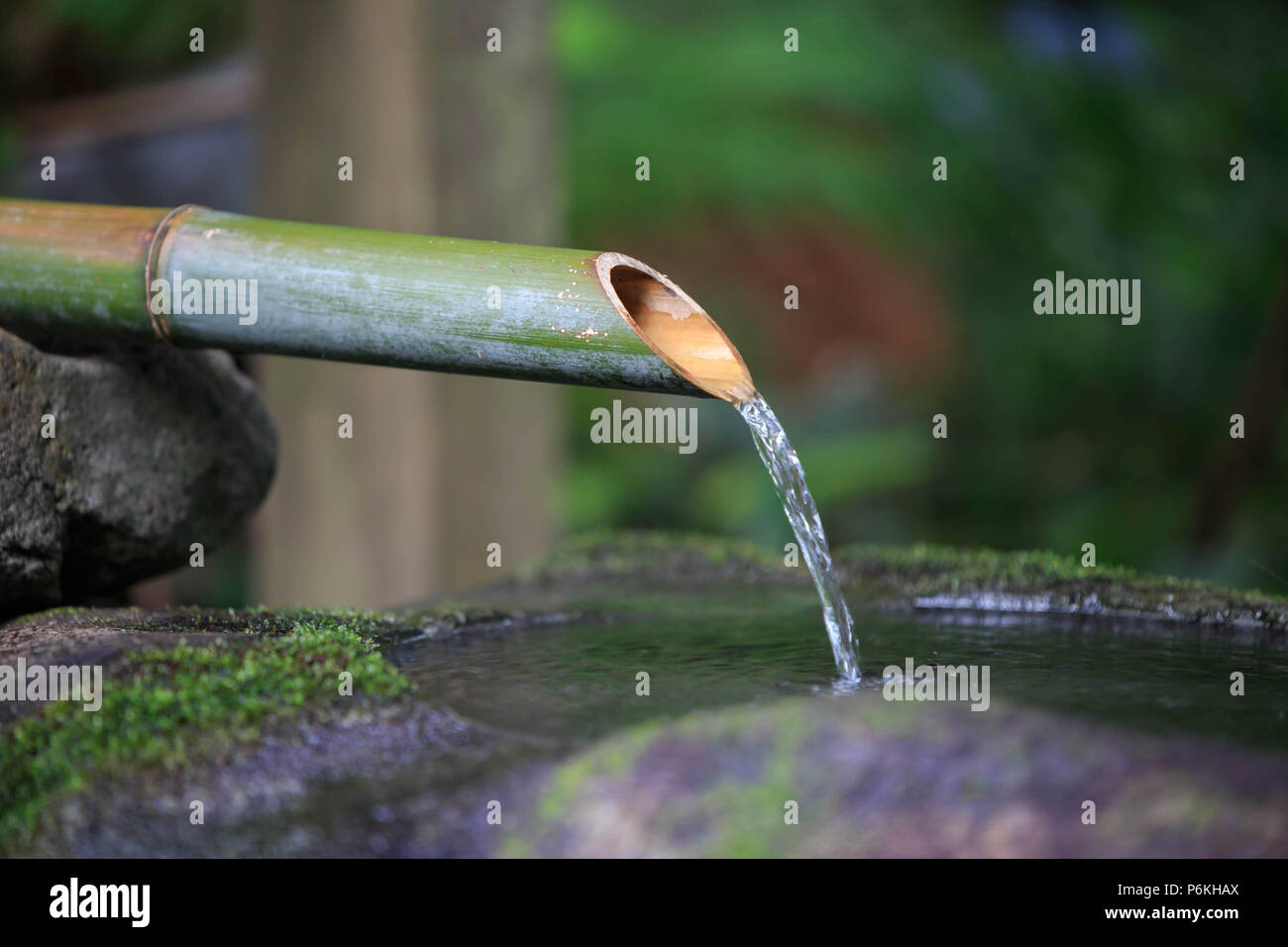 Traditional bamboo fountain at Japanese temple for washing before ...