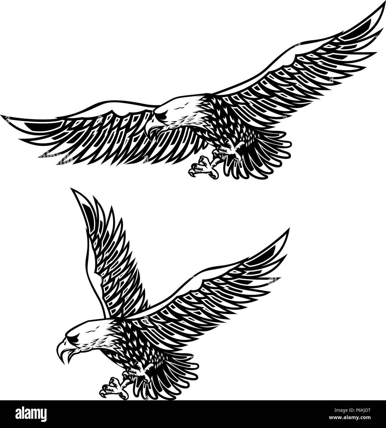 Bald eagle america image Black and White Stock Photos & Images - Alamy