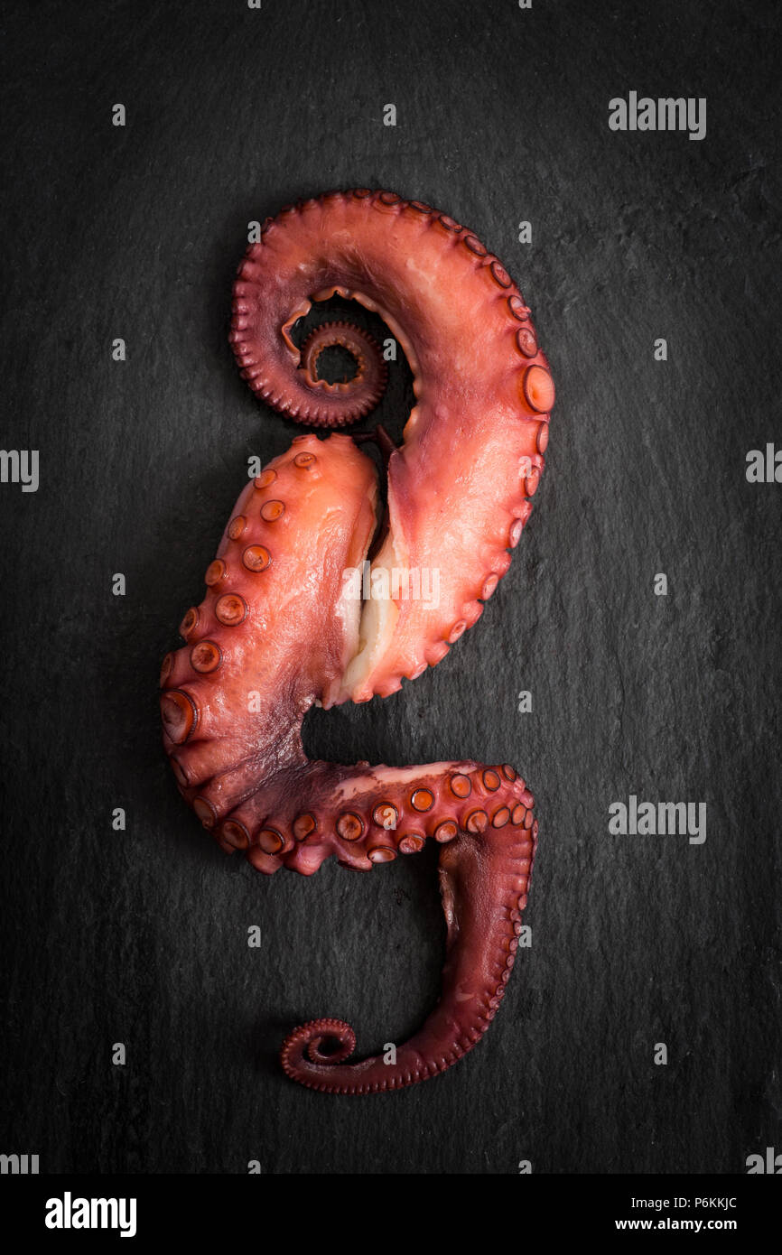 Octopus arm hi-res stock photography and images - Alamy