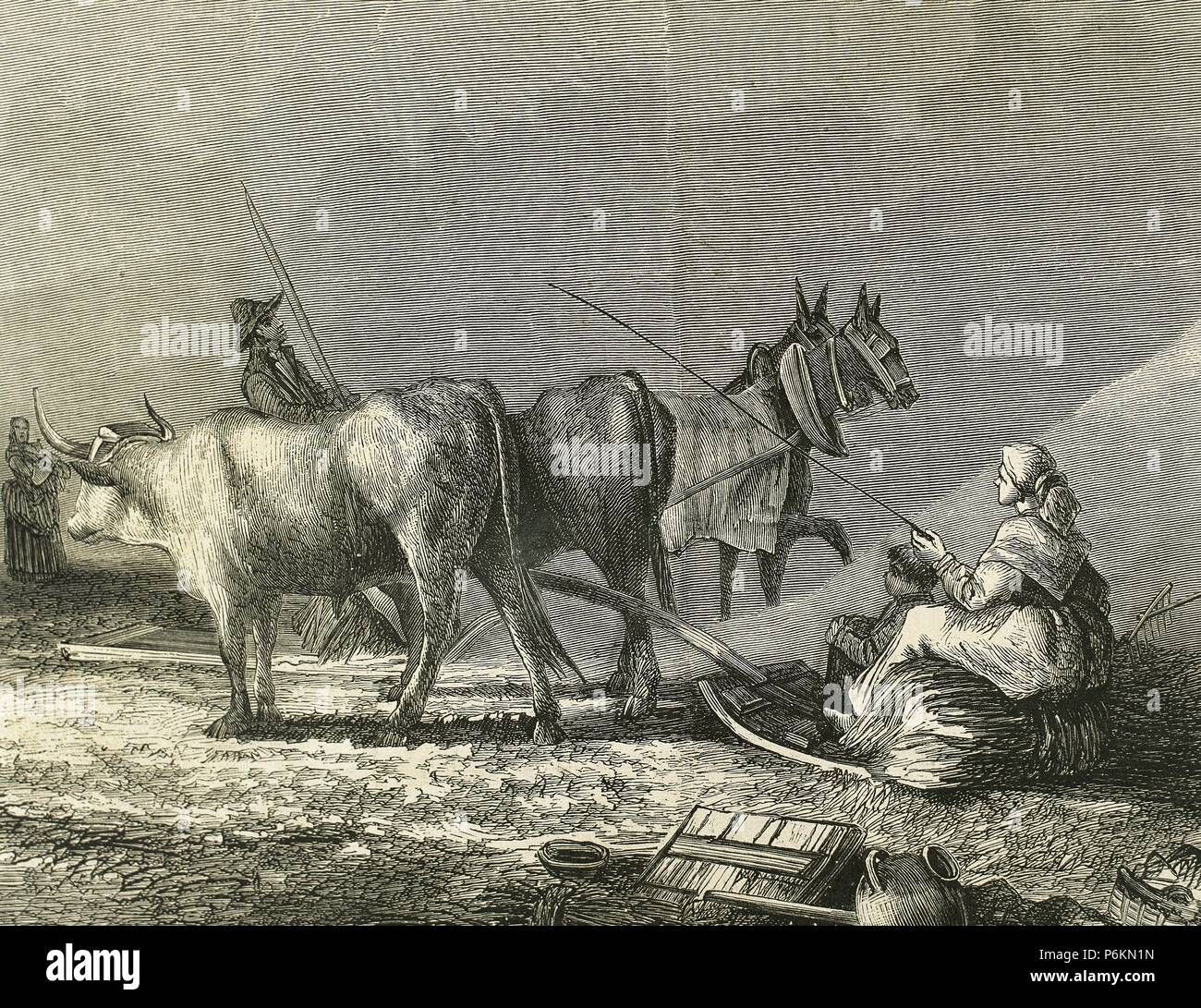 Agriculture. Threshing with threshing board. Engraving by R. Milliet ...