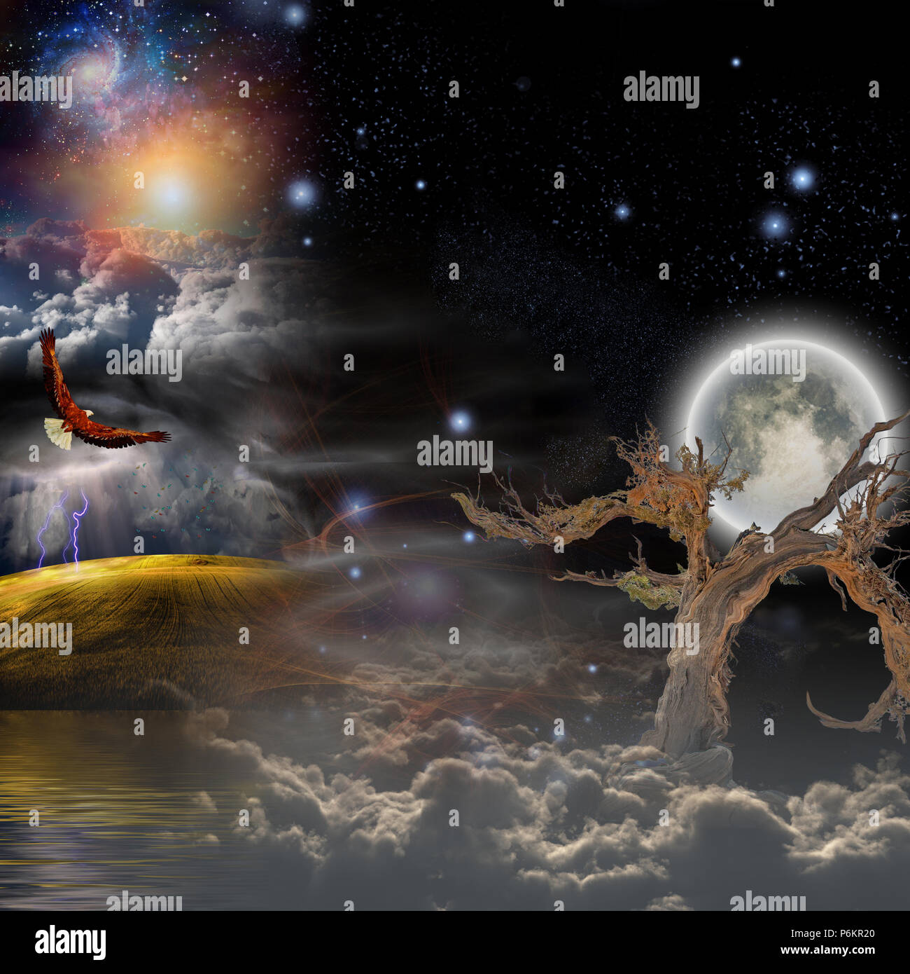 Beautiful eagle flying full moon hi-res stock photography and images ...