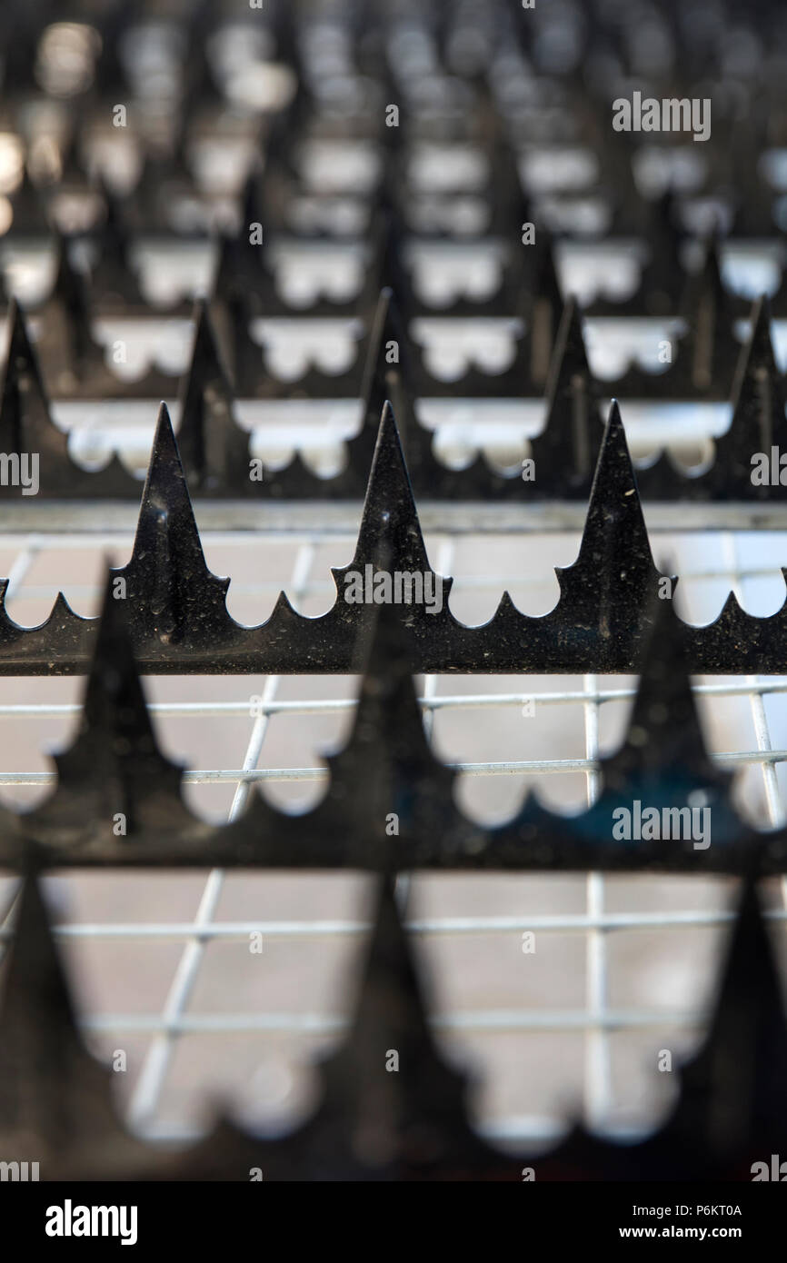 Closeup detail of the metal spikes rows Stock Photo - Alamy