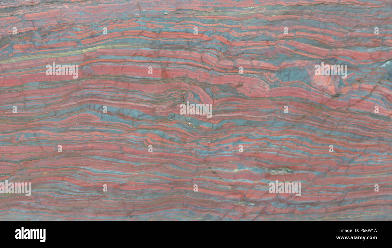 Fossil tree pattern Stock Photo - Alamy