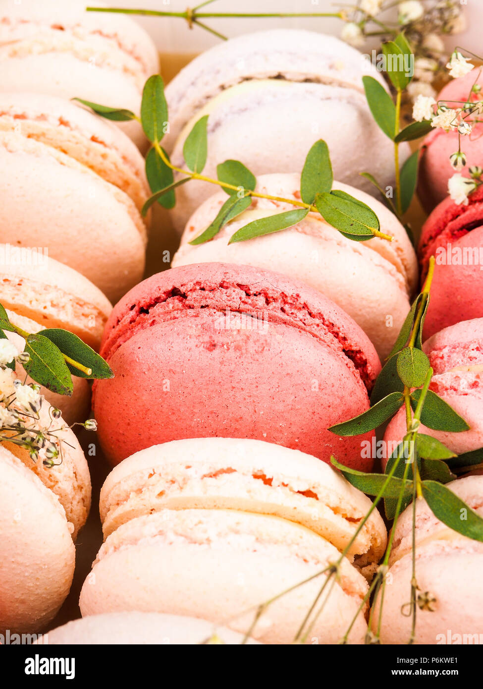 Colorful Macaroons Wallpaper