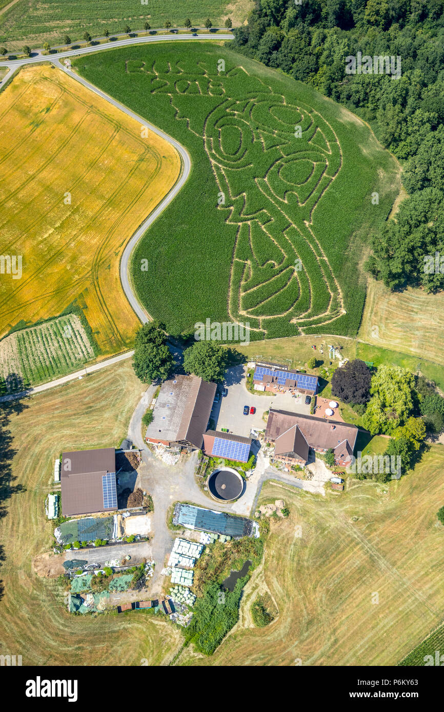 Corn maze aerial hi-res stock photography and images - Alamy