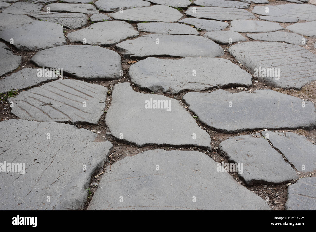 Rome, view and details of the archaeological area of the Roman Forums ...
