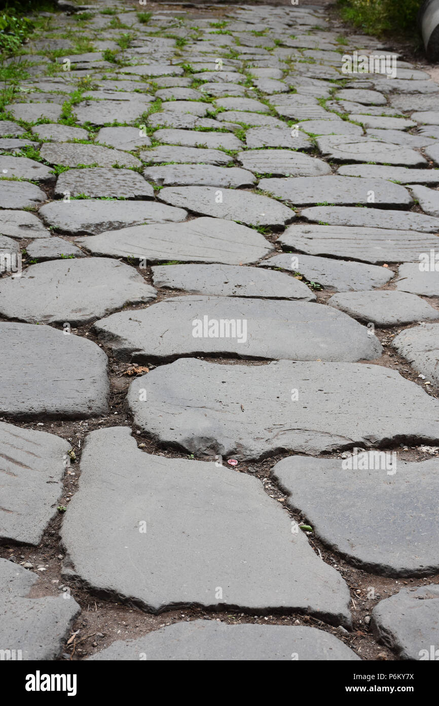 Rome, view and details of the archaeological area of the Roman Forums ...