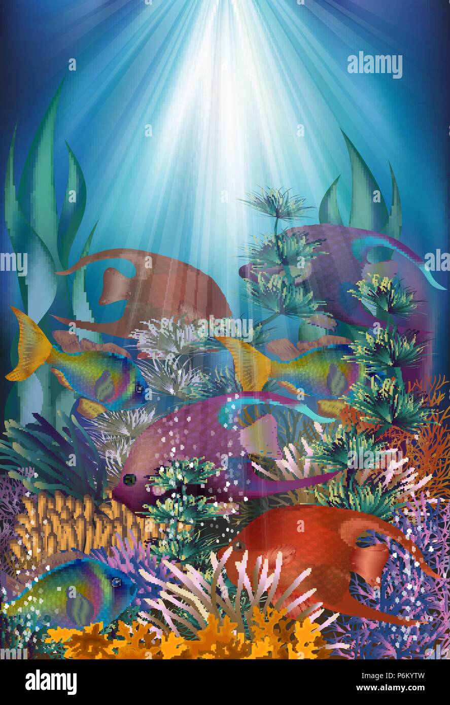 Shoal fish on coral Stock Vector Images - Alamy