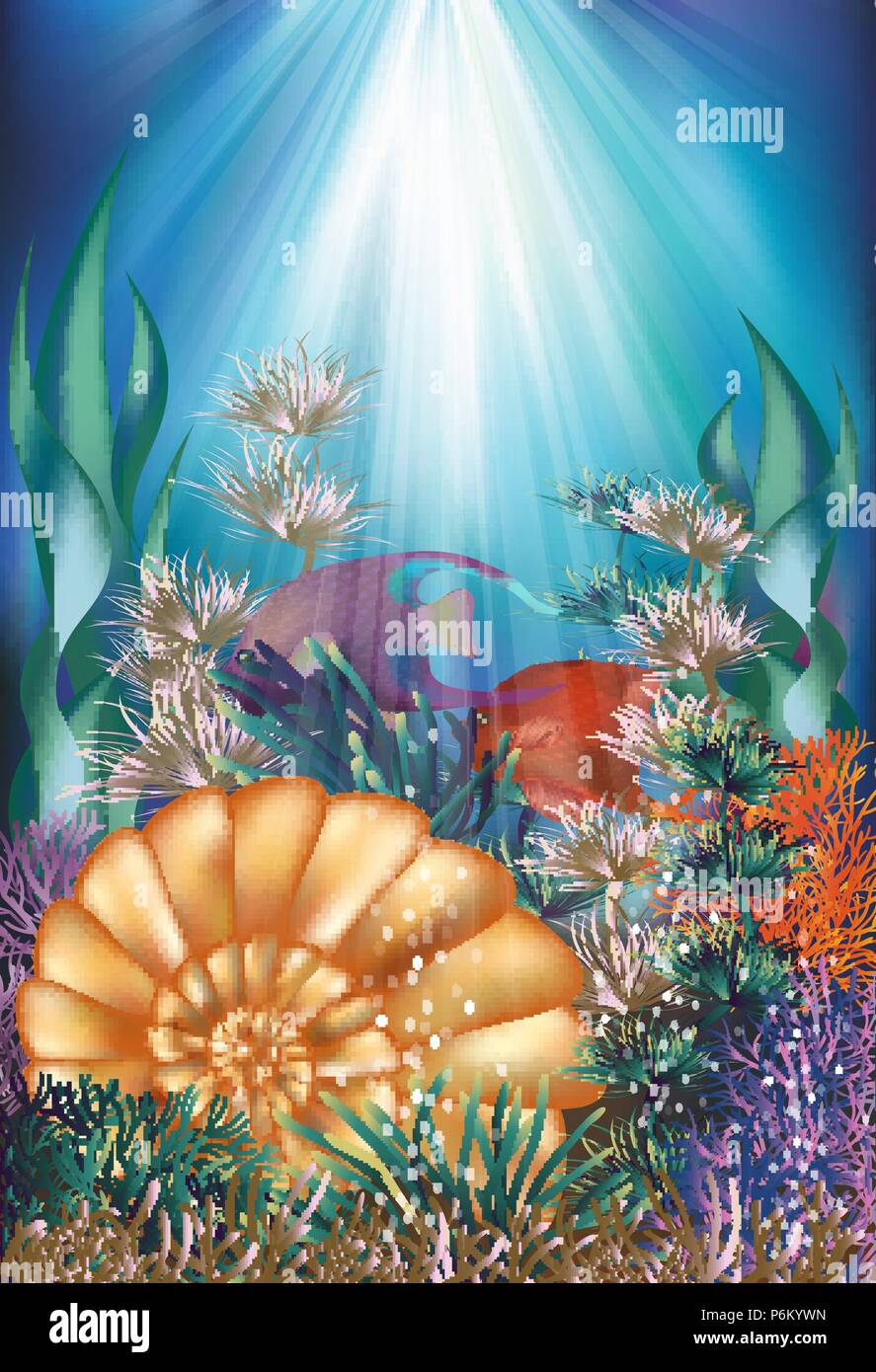 Underwater card with shell and tropical fish, vector illustration Stock ...