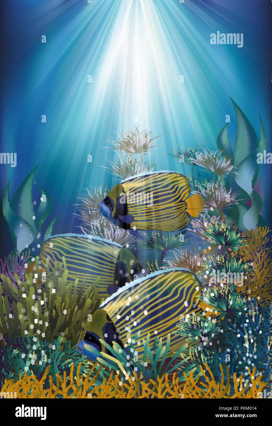 Underwater card with Blue striped fish, vector illustration Stock ...