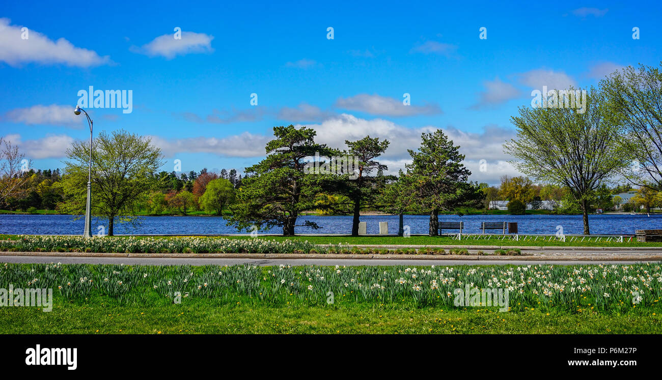 Ottawa arboretum hi-res stock photography and images - Alamy