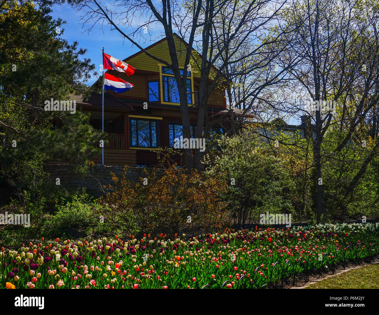 Trees at spring time in the city park of Ottawa, Canada Stock Photo - Alamy
