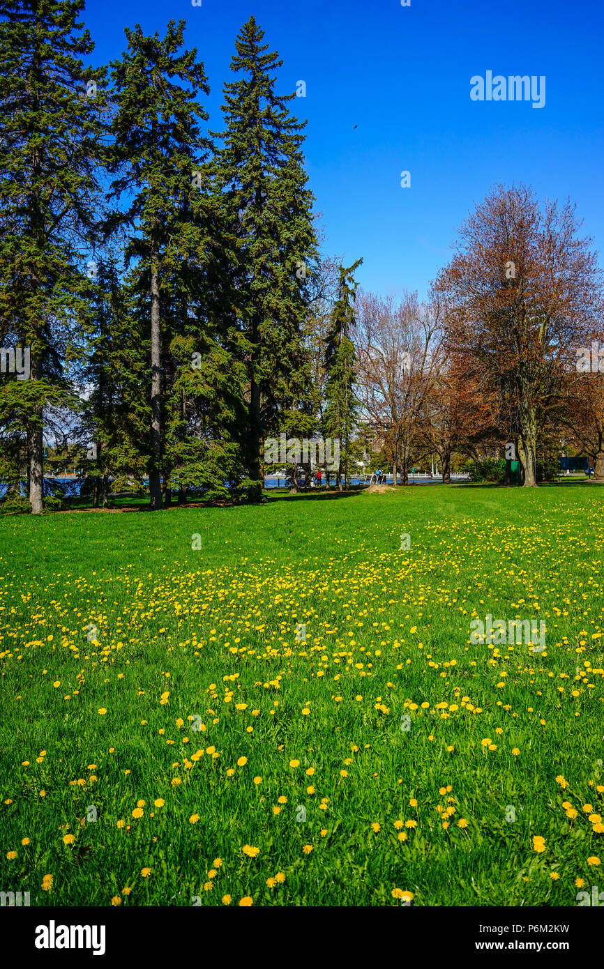Ottawa arboretum hi-res stock photography and images - Alamy