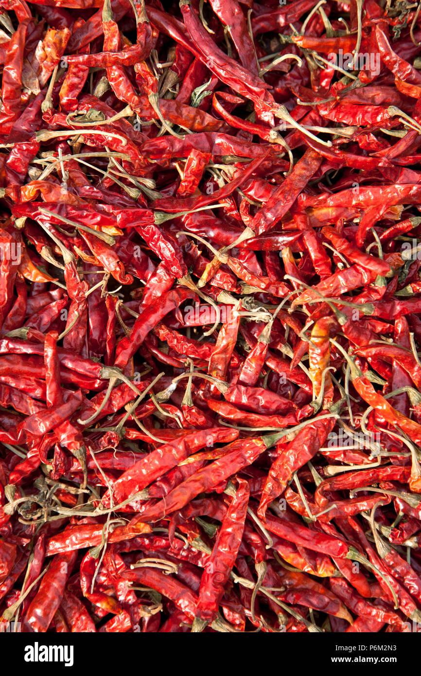 Red chilly pepper piled up in photograph Stock Photo - Alamy