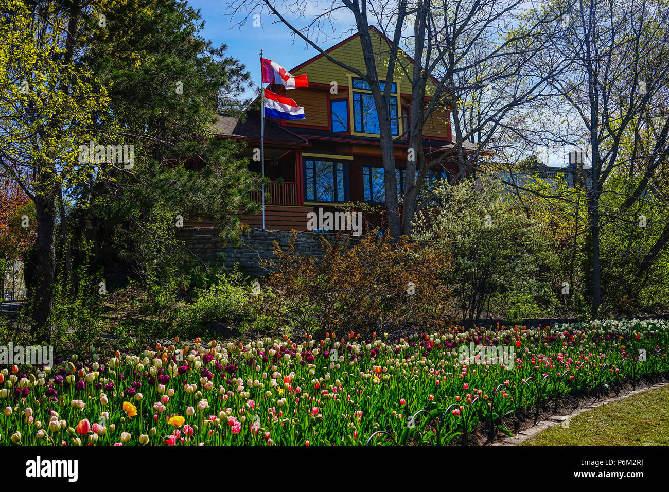 Trees at spring time in the city park of Ottawa, Canada Stock Photo - Alamy