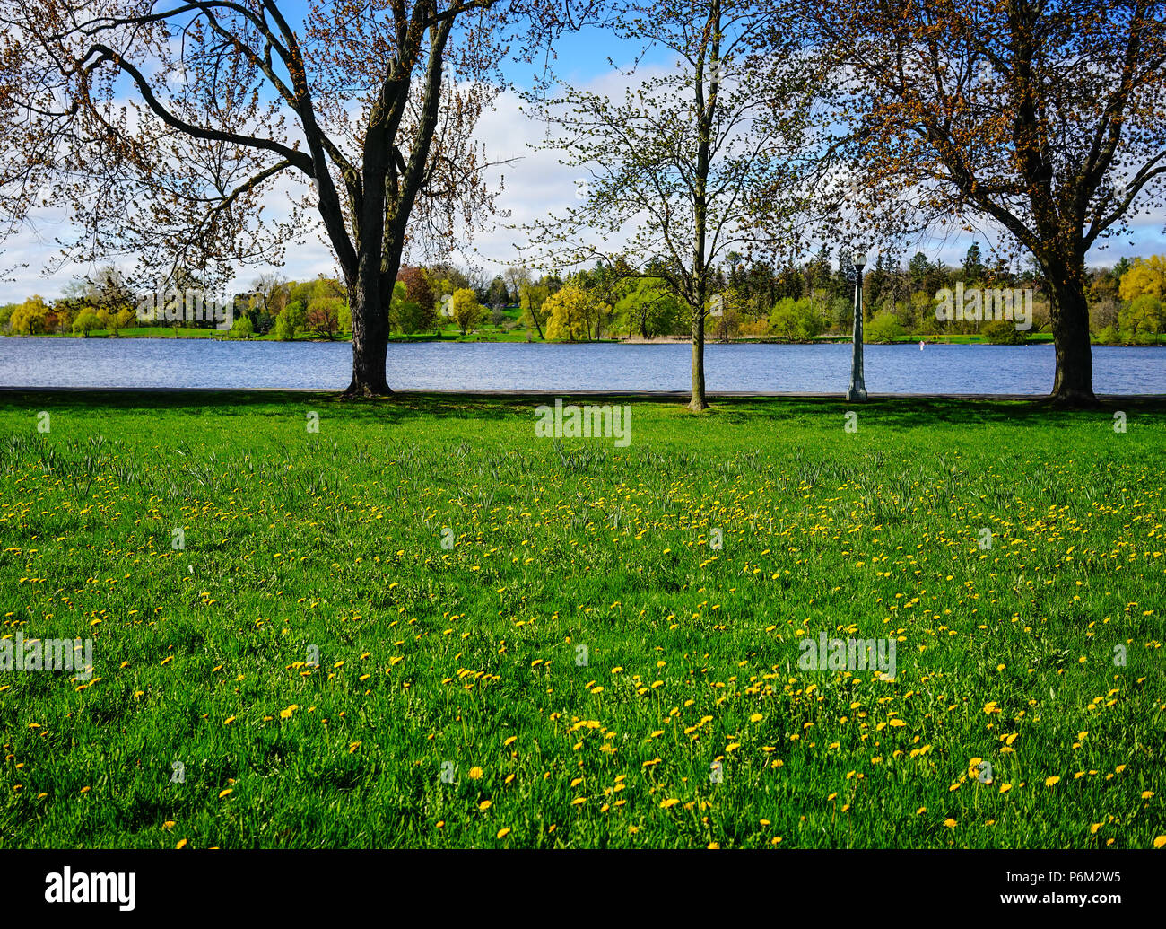 Ottawa arboretum hi-res stock photography and images - Alamy