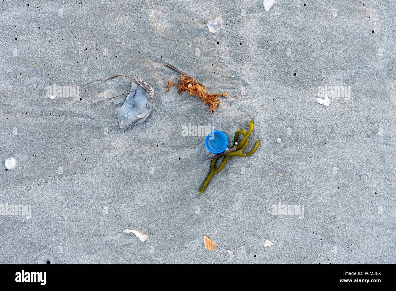 Beach Pollution Blue Plastic Bottle Cap Stock Photo - Alamy